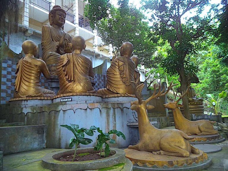 Buddha's Enlightened Journey: An In-Depth Illustrated Timeline of ...
