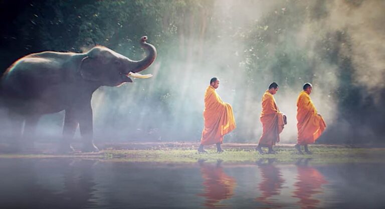 Who are the Five Great Wisdom Buddhas and Why Are They So Important ...