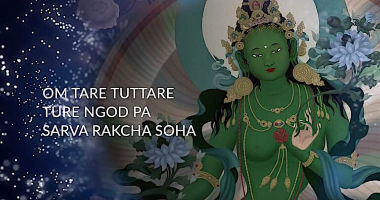 April 22 is Earth Day, which makes it Tara's day: nourishing, caring ...