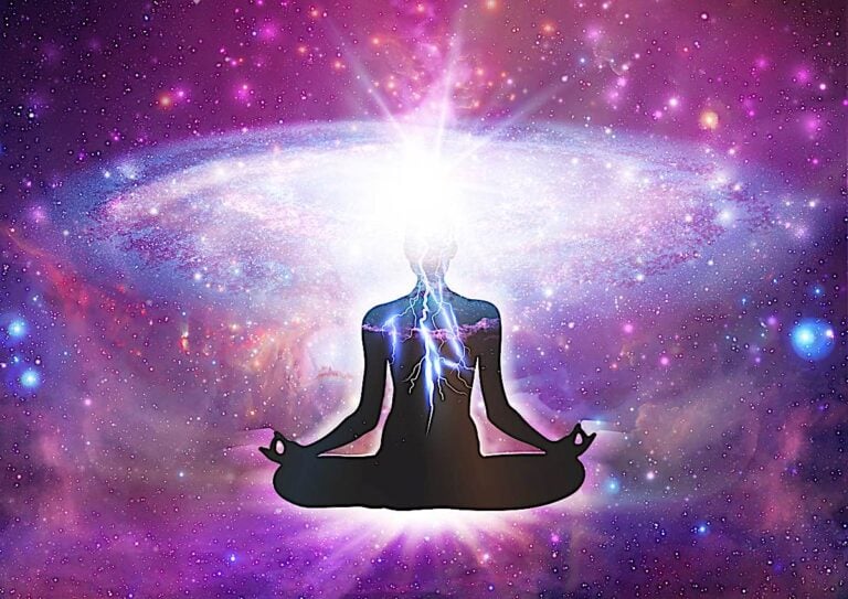 Rebirth vs Reincarnation: "If it isn't 'We' who is reborn — if it is ...